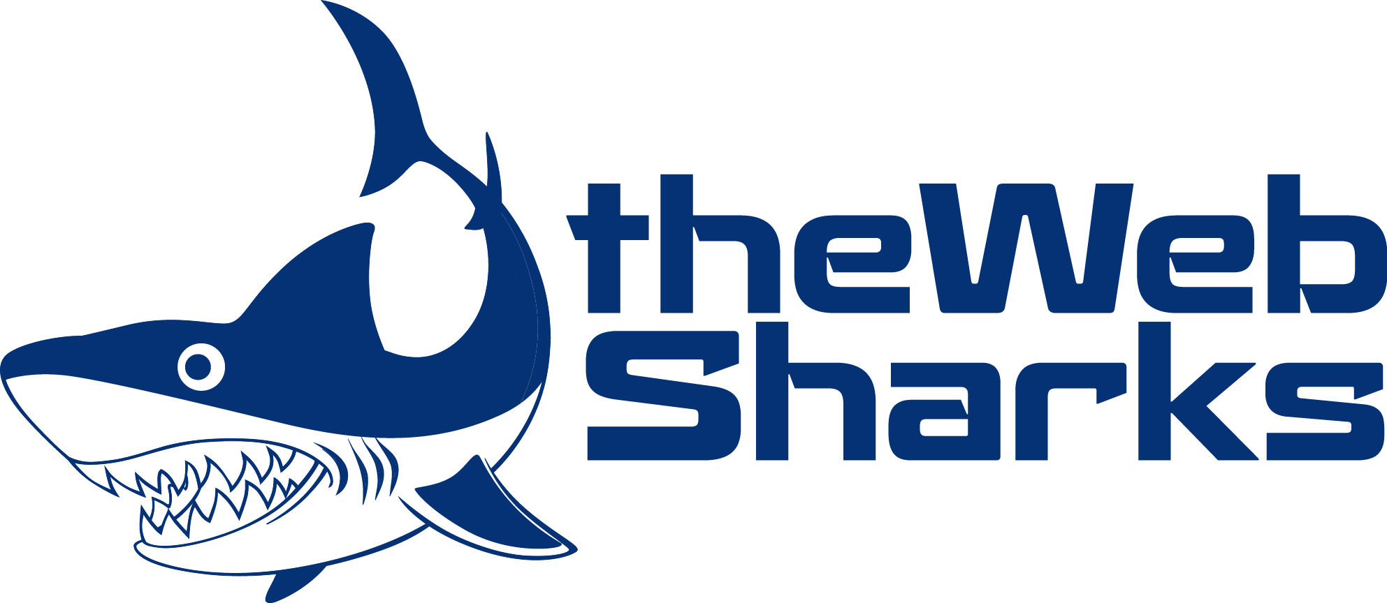graphics ⋆ The Web Sharks Investor Leads Baltimore MD
