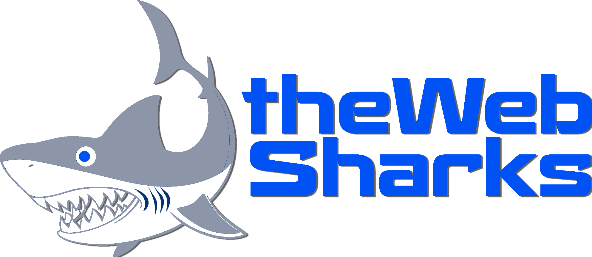 graphics ⋆ The Web Sharks Investor Leads Baltimore MD